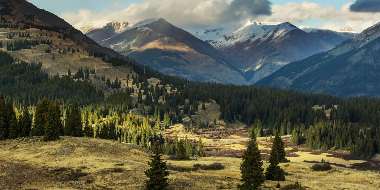 Your Guide to Alleviating Treatable and Curable Lower Back Pain